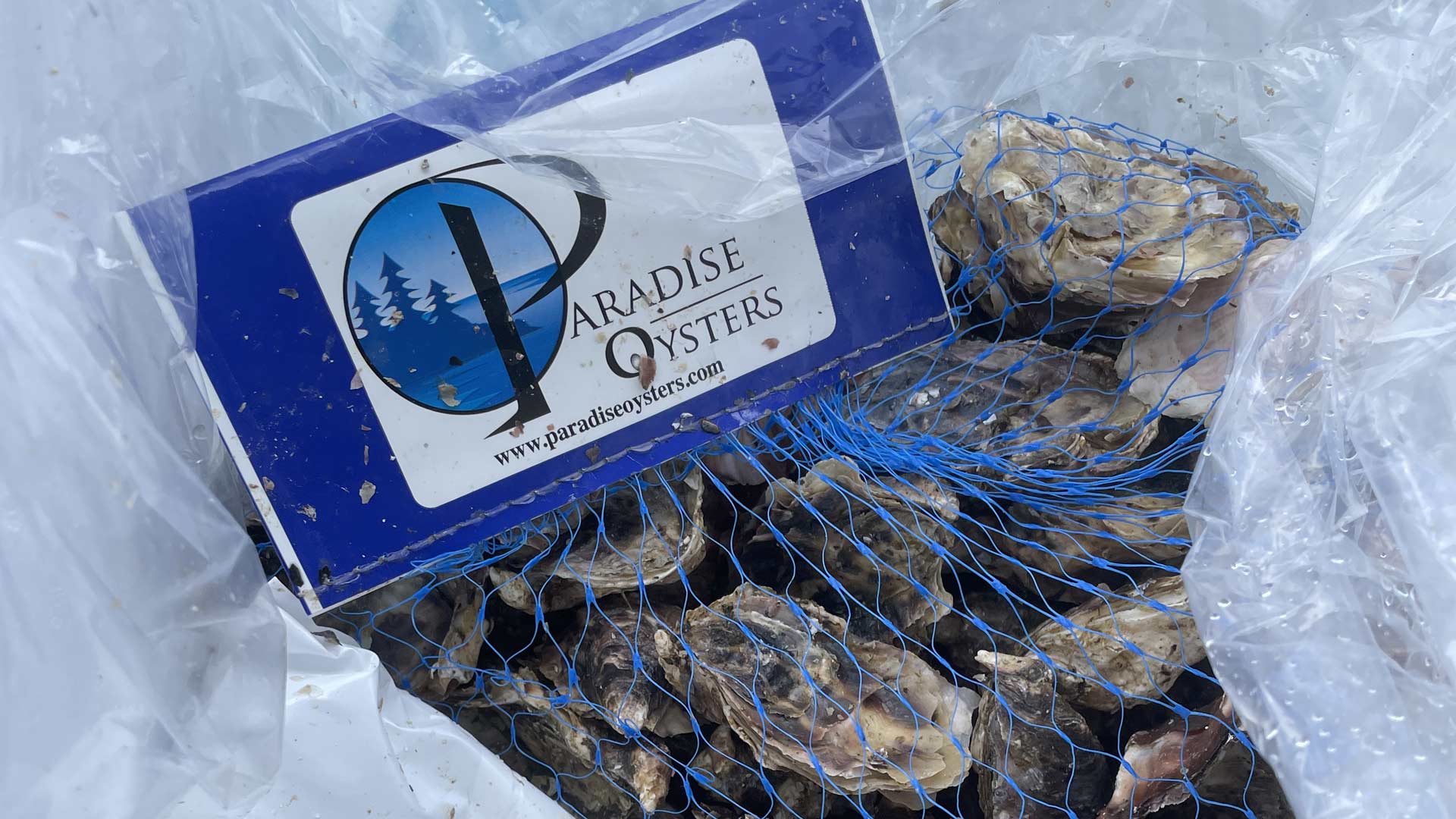 Membership - BC Shellfish Growers Association