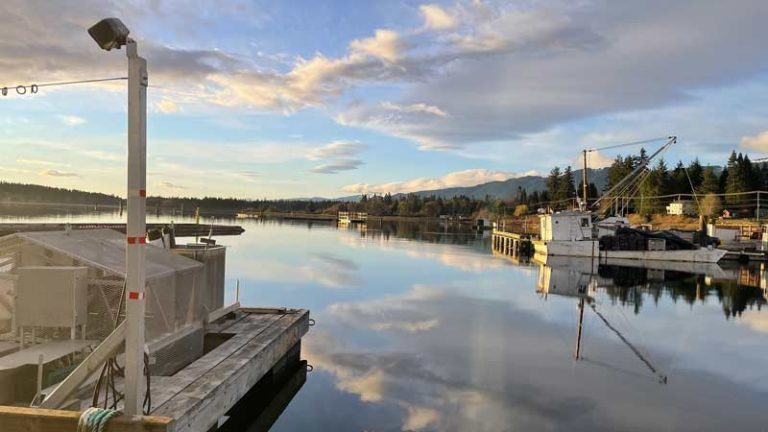 Our History - BC Shellfish Growers Association